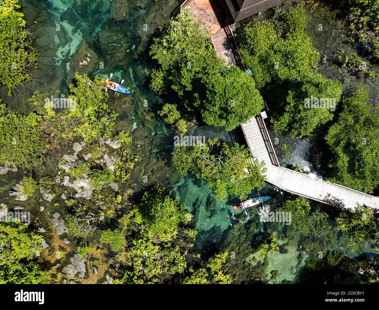 Top view Forest lake landscape,Rainforest ecosystem and healthy ...
