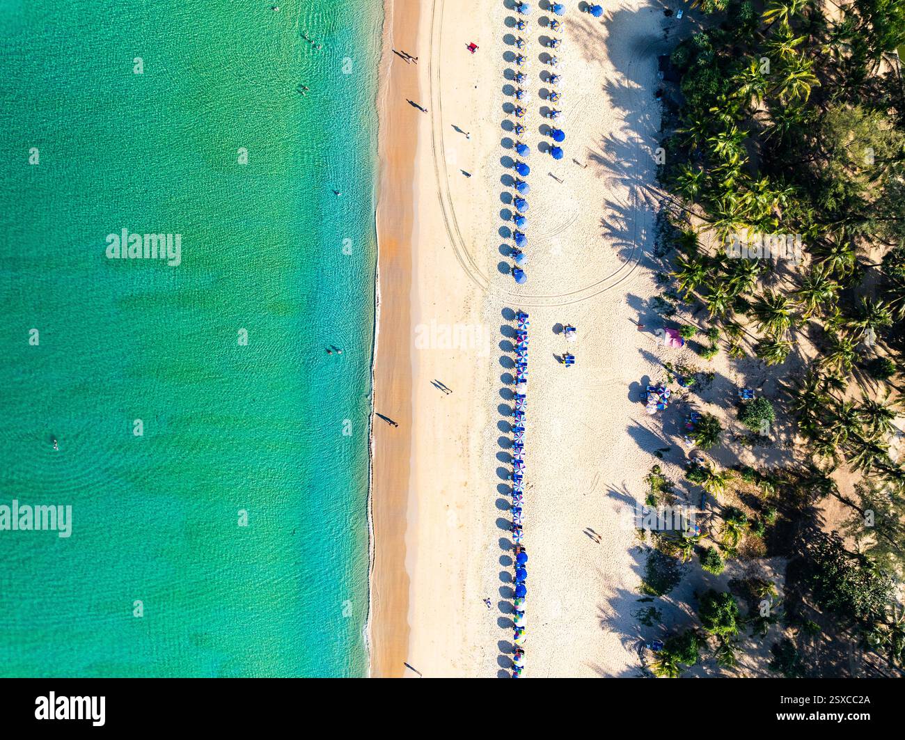 Summer seascape beautiful waves,Tropical sea water in sunny day, Top ...
