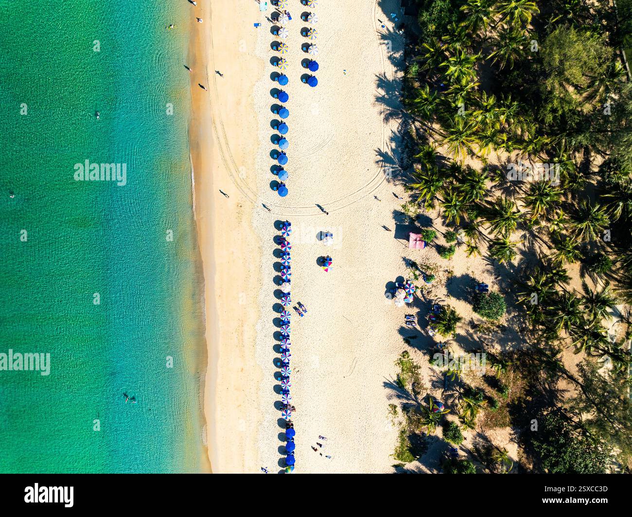 Summer seascape beautiful waves,Tropical sea water in sunny day, Top ...