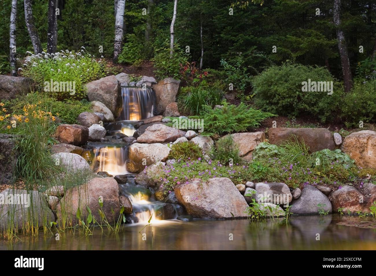 Illuminated man-made cascading waterfall and pond with Typha minima ...