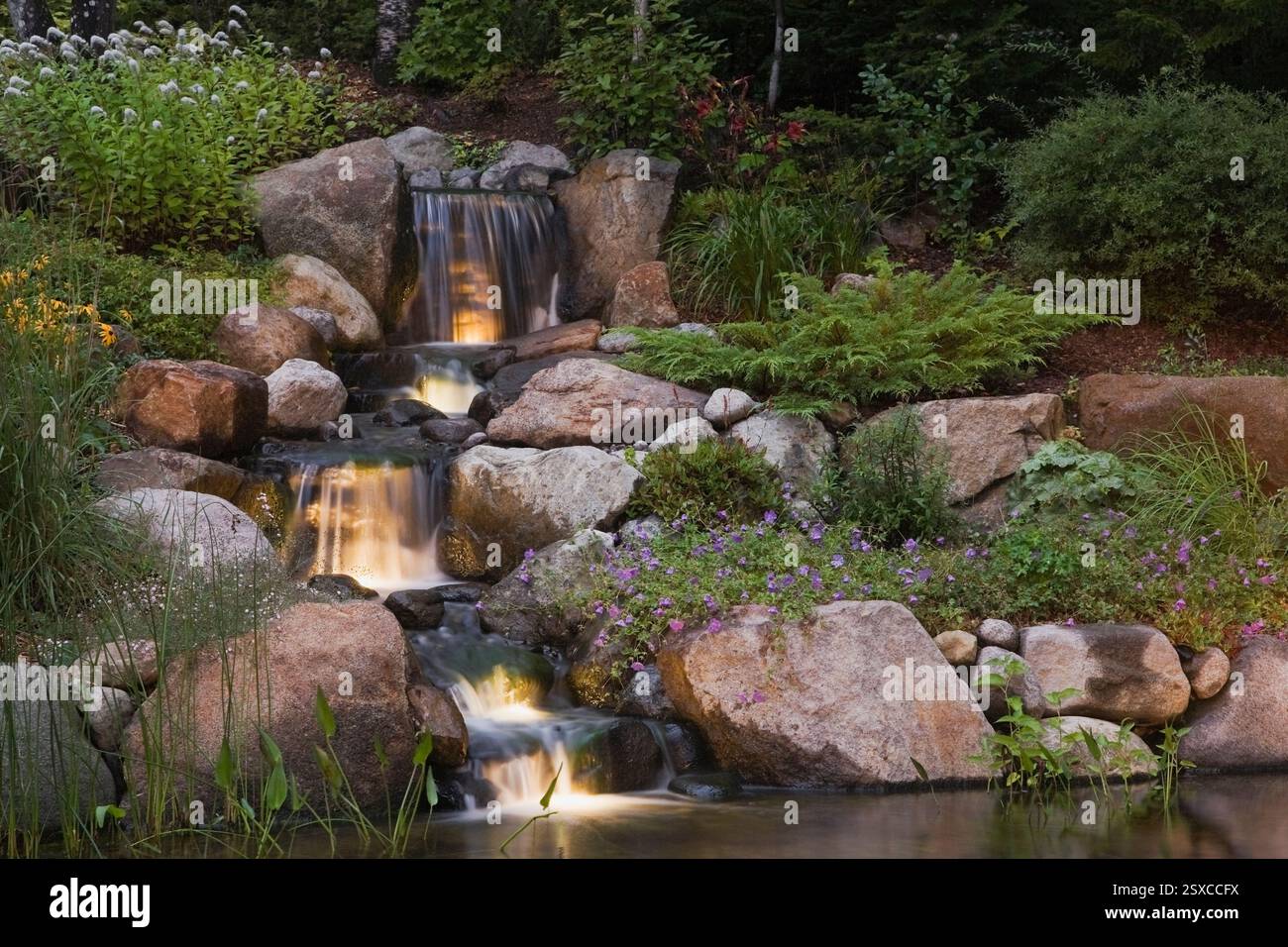 Illuminated man-made cascading waterfall and pond with Typha minima ...
