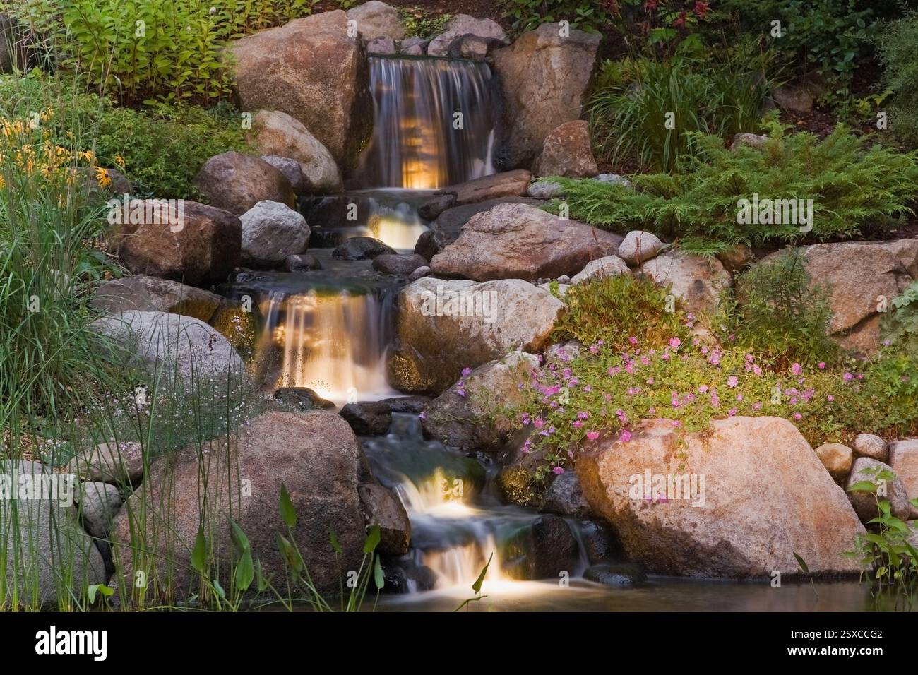 Illuminated man-made cascading waterfall and pond with Typha minima ...