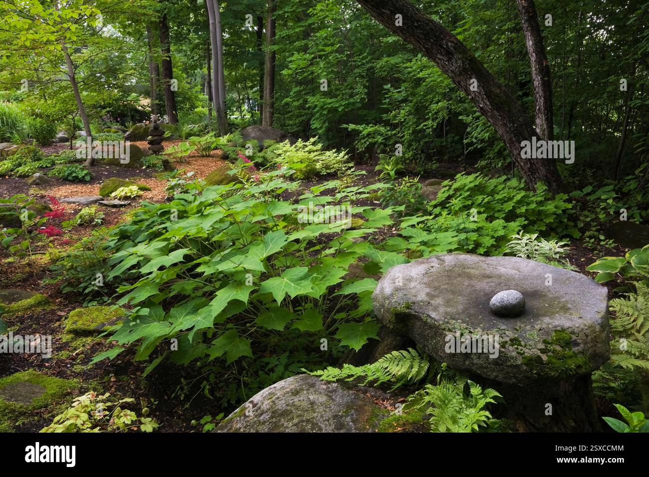 Round stone on top of natural rock sculpture next to Pteridophyta ...