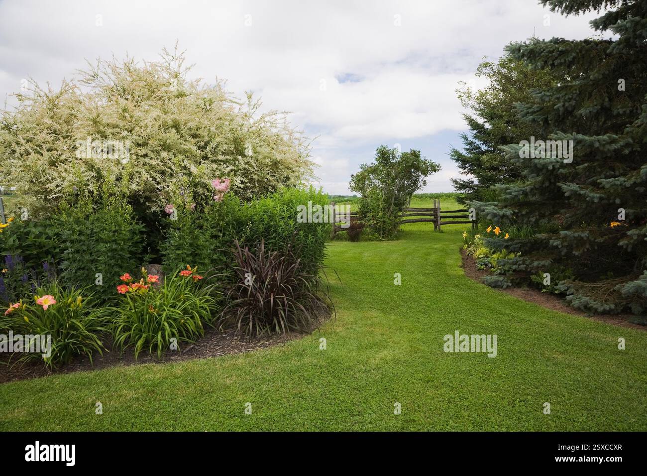 Borders with pink Hemerocallis 'Shipshape', red 'Radar Love', Aconitum ...