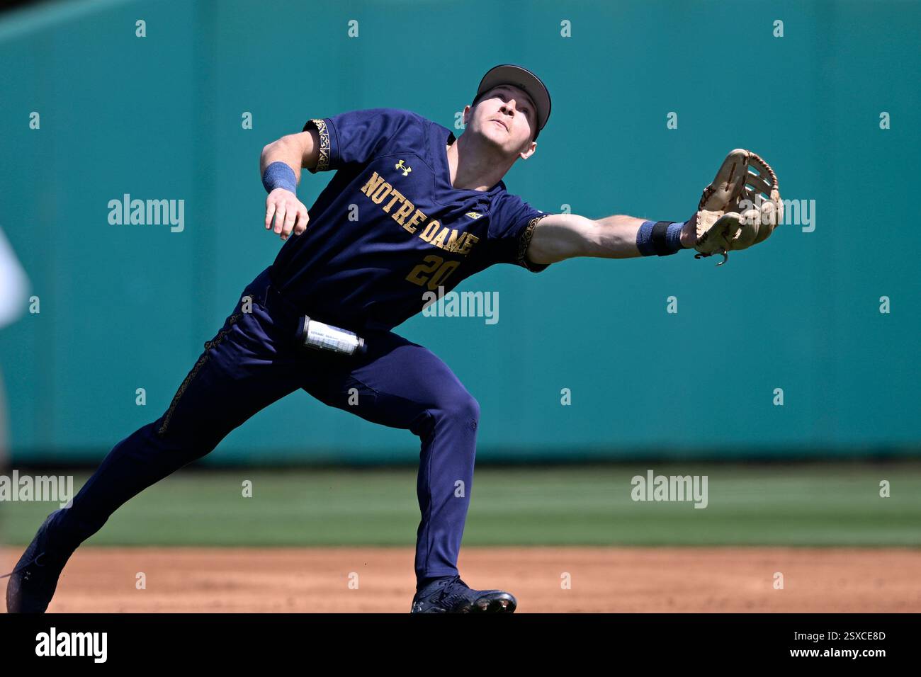 Notre Dame infielder Nick DeMarco (20) reaches for a popped up ball ...