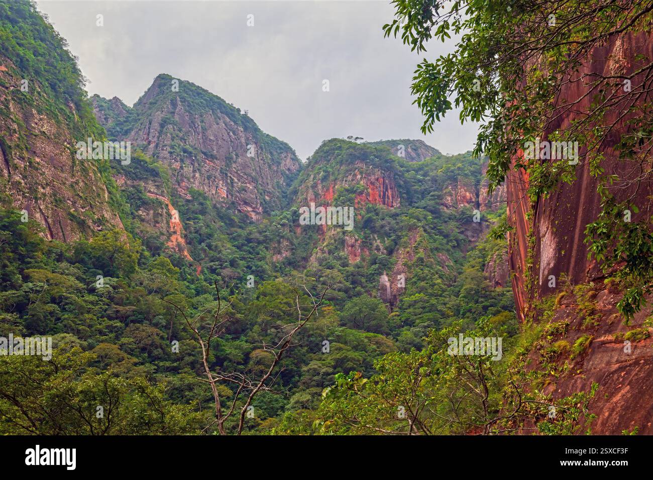 Dramatic Cliffs Covered in Highland Forests in Amboro National Park in ...
