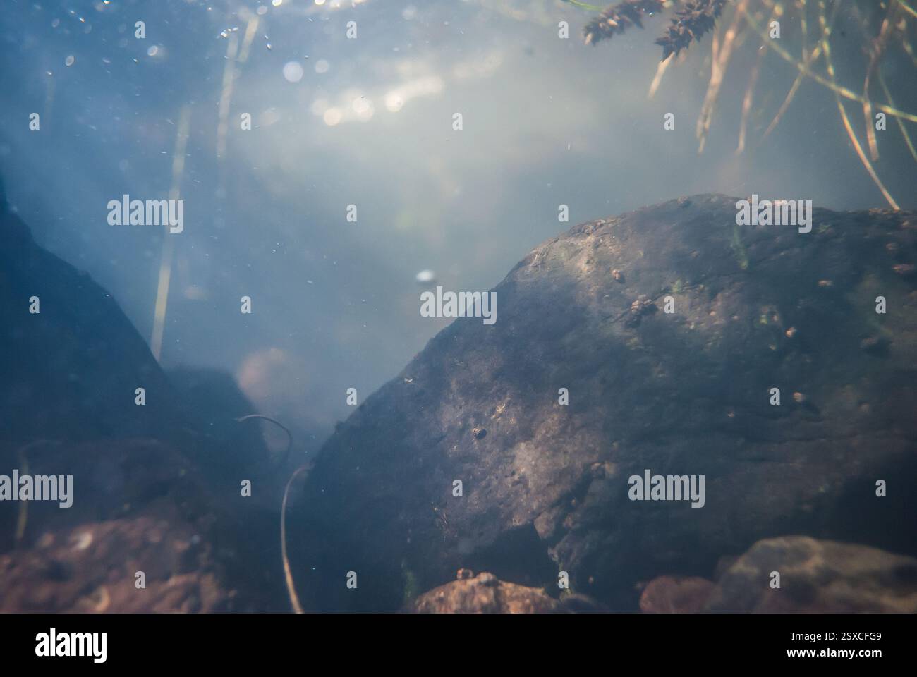 Rocks beneath water surface hi-res stock photography and images - Alamy
