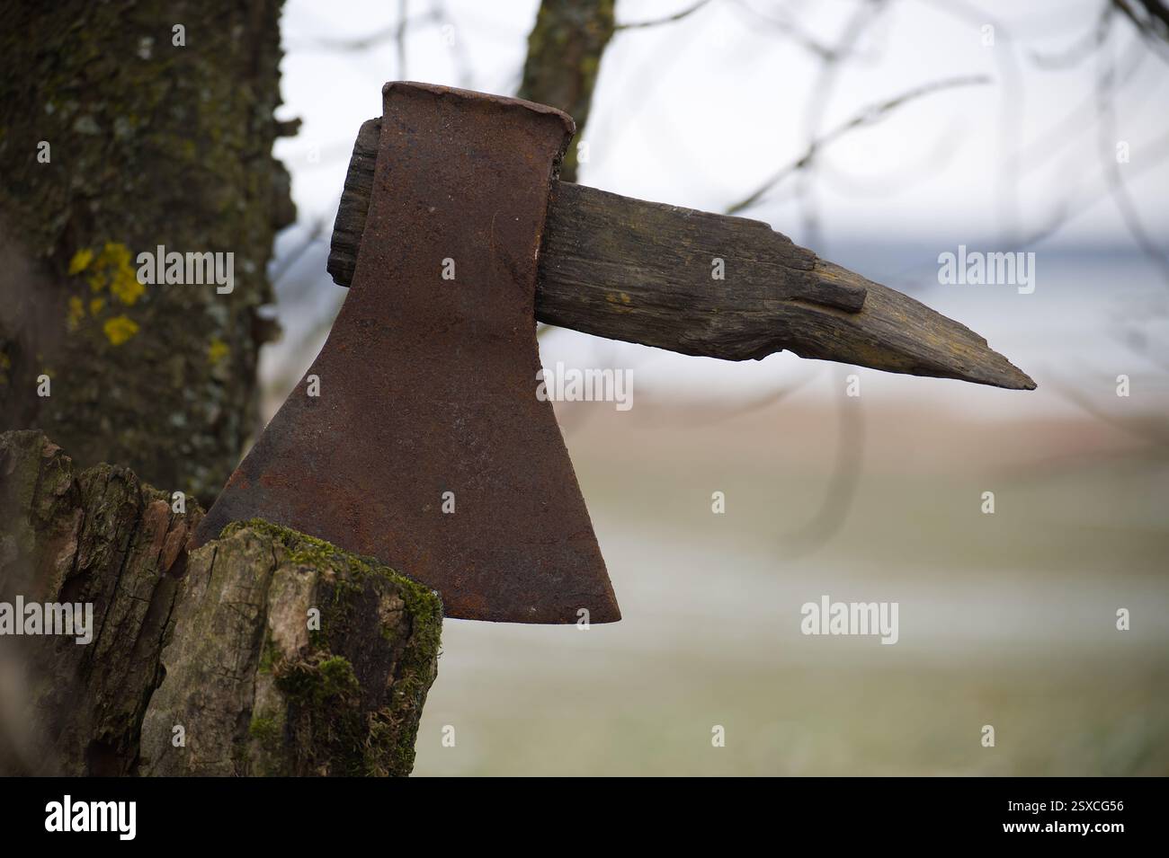 Old rusty axe with a wooden handle embedded in a log, symbolizing ...