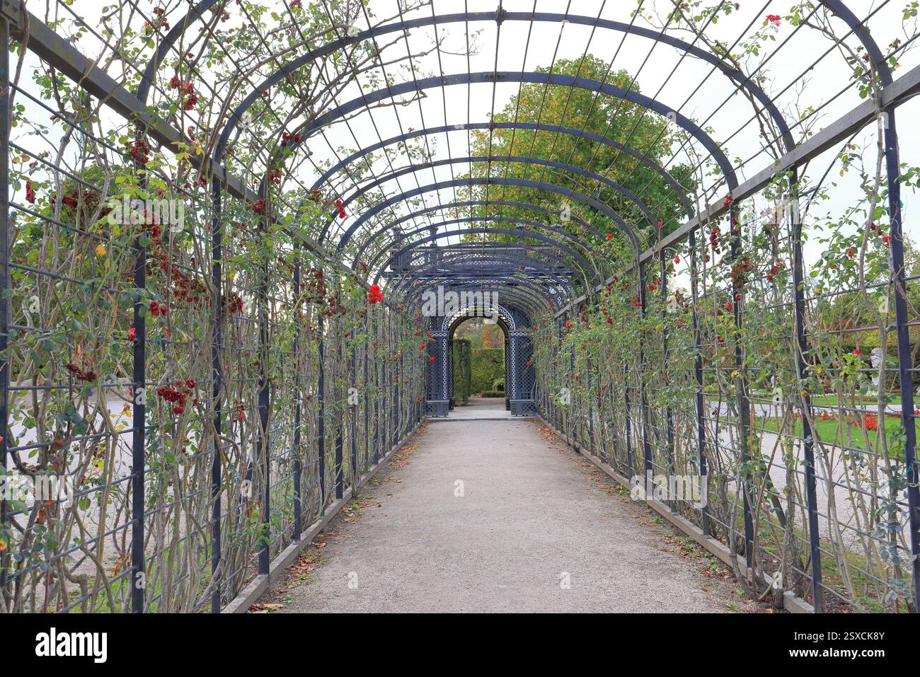 Schonbrunn Palace (Schloss Schonbrunn), a summer palace with rococo ...