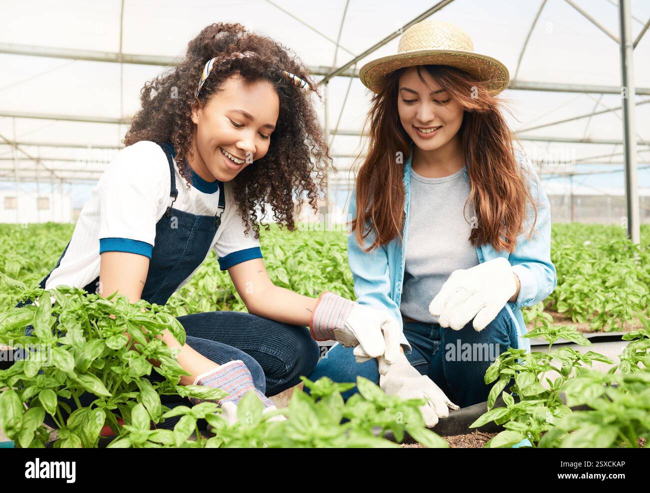 People, team and care for crops at farm, agriculture production and ...