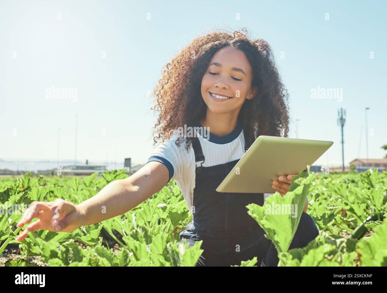 Woman, farmer and tablet for farm work, agriculture production and ...
