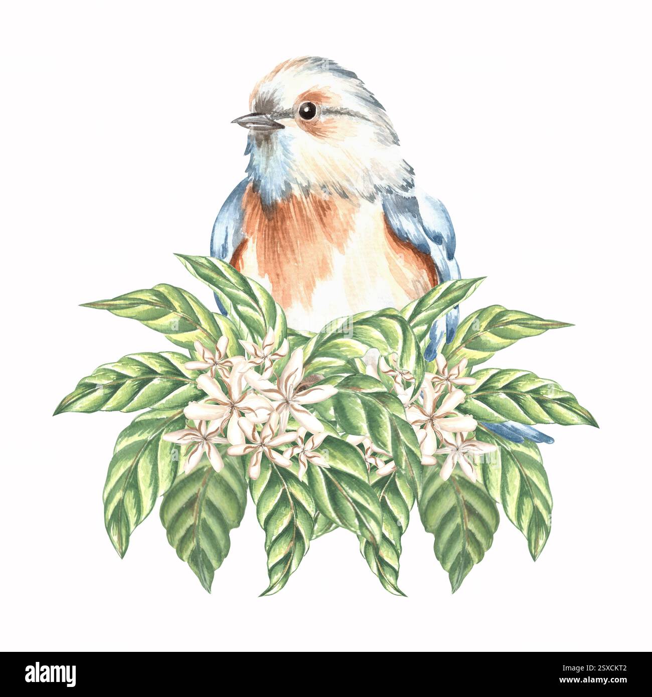 Small songbird on branch with green leaves and white flowers. Eastern ...