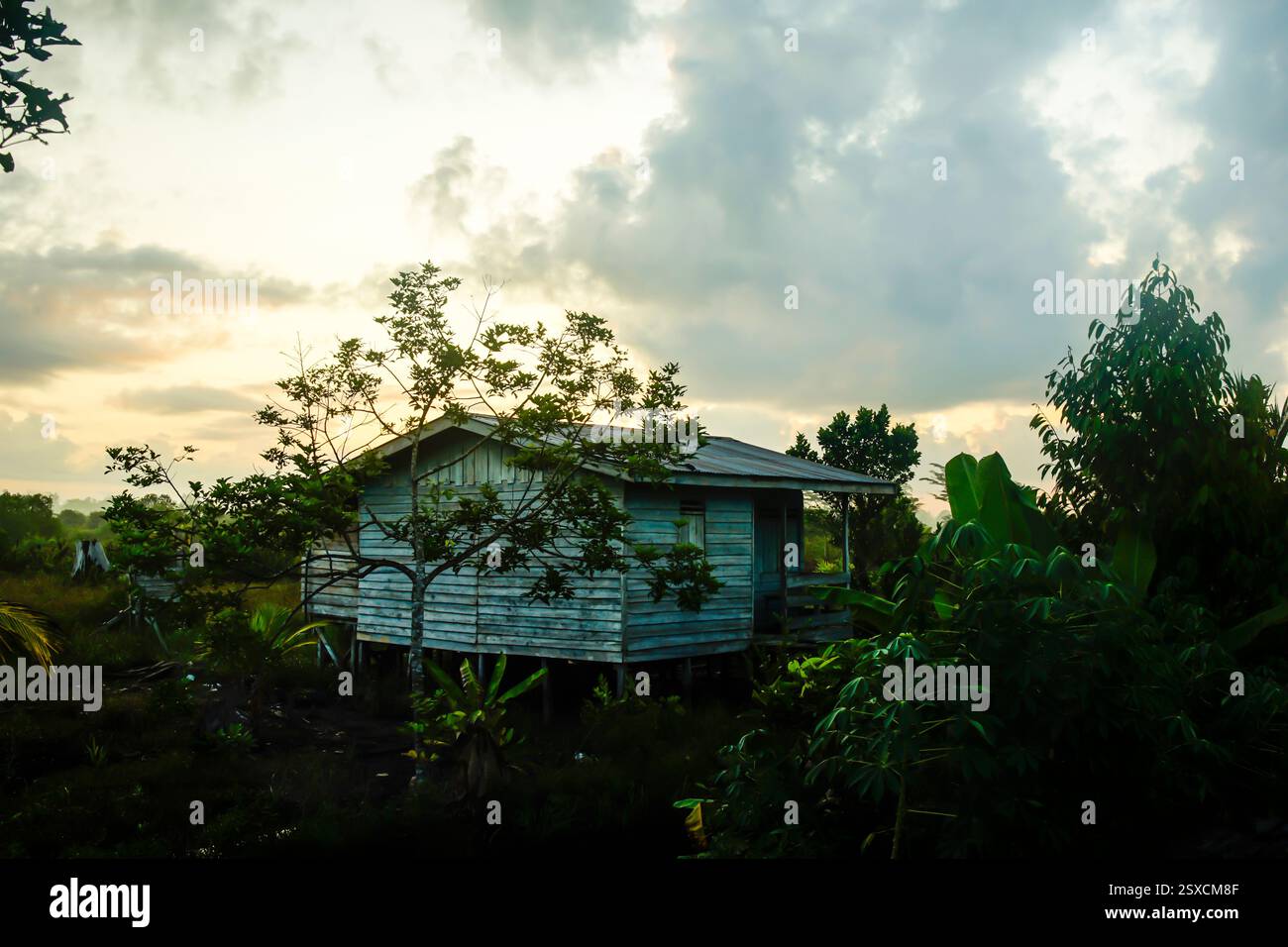traditional transmigrant house in northern Kalimantan Stock Photo - Alamy
