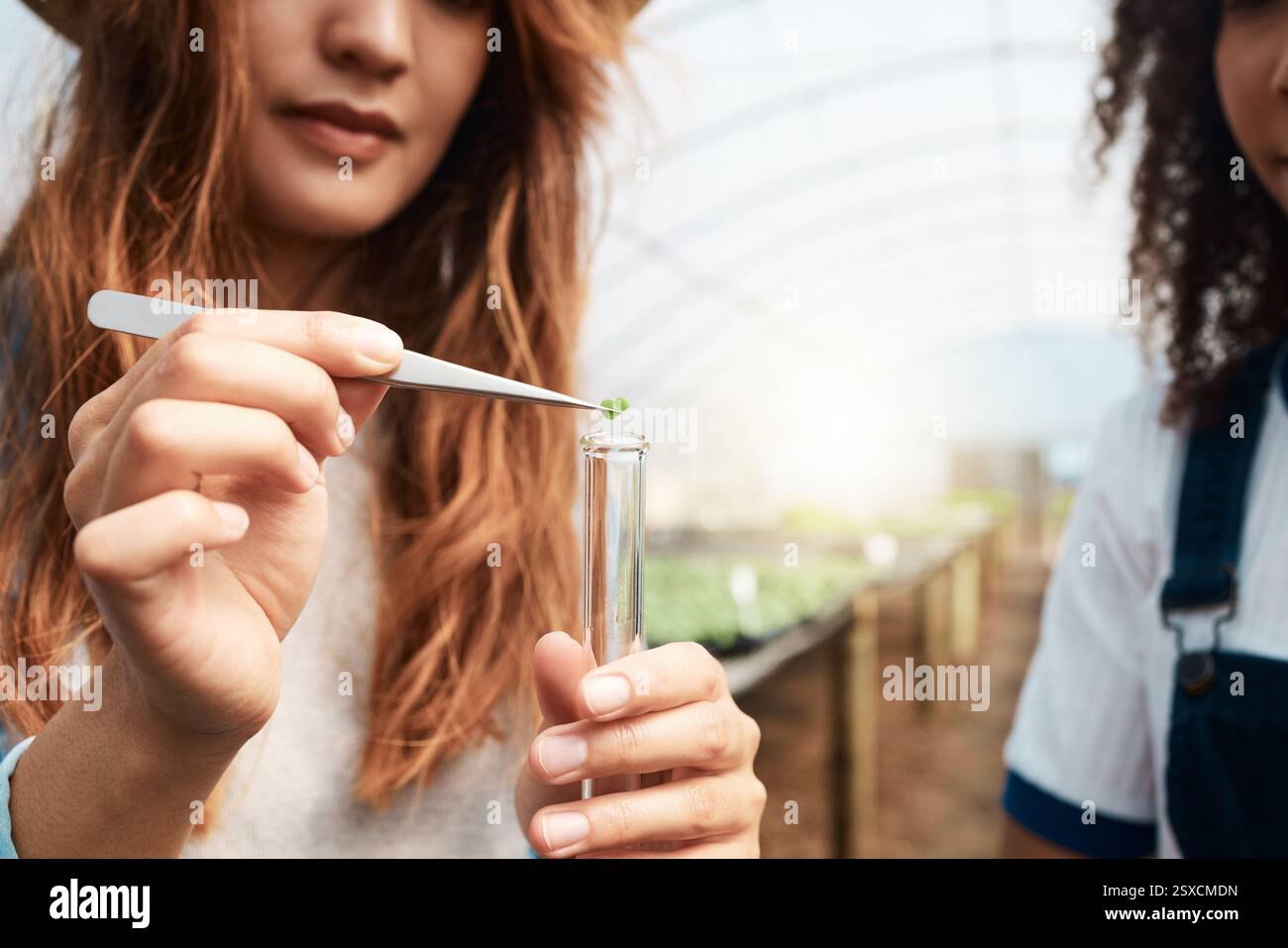 Agriculture, women and plant sample in greenhouse for nutrient ...