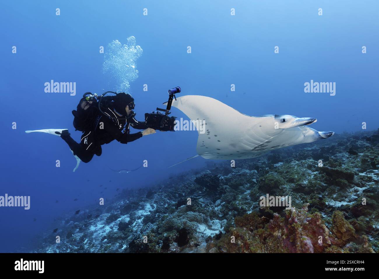 Cameraman with professional underwater video camera type RED Dragon X ...