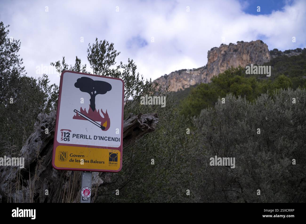 Sign, danger of forest fires, forest fire danger, behind it castle ...