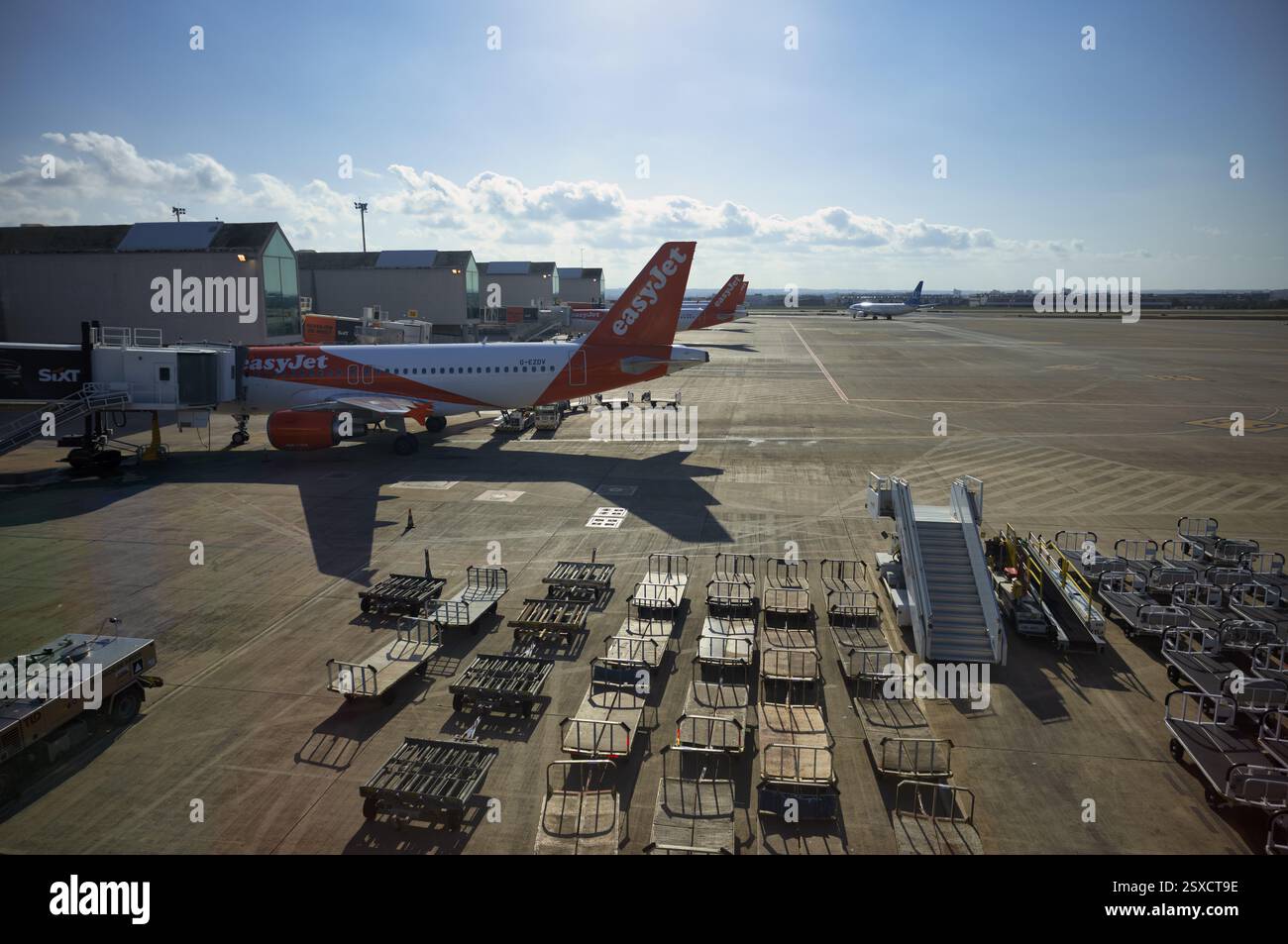 Airline aircraft, Airline, easyJet, during check-in, baggage trolley ...