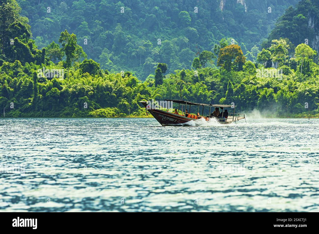 A speedboat gliding across a lake bordered by dense forest and lush ...