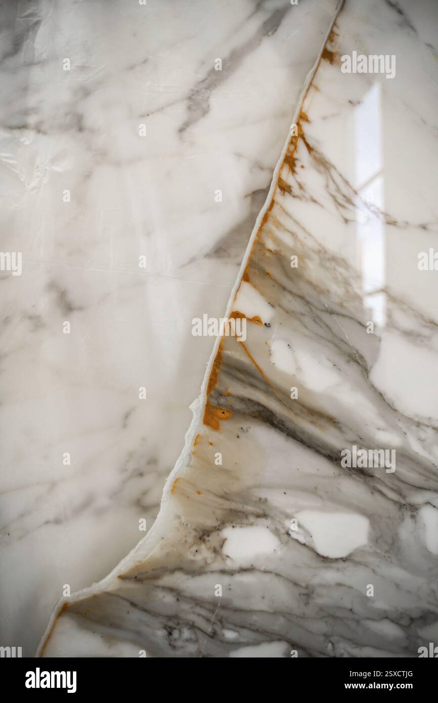 Abstract close-up of marble with gray and white veining patterns, stone ...