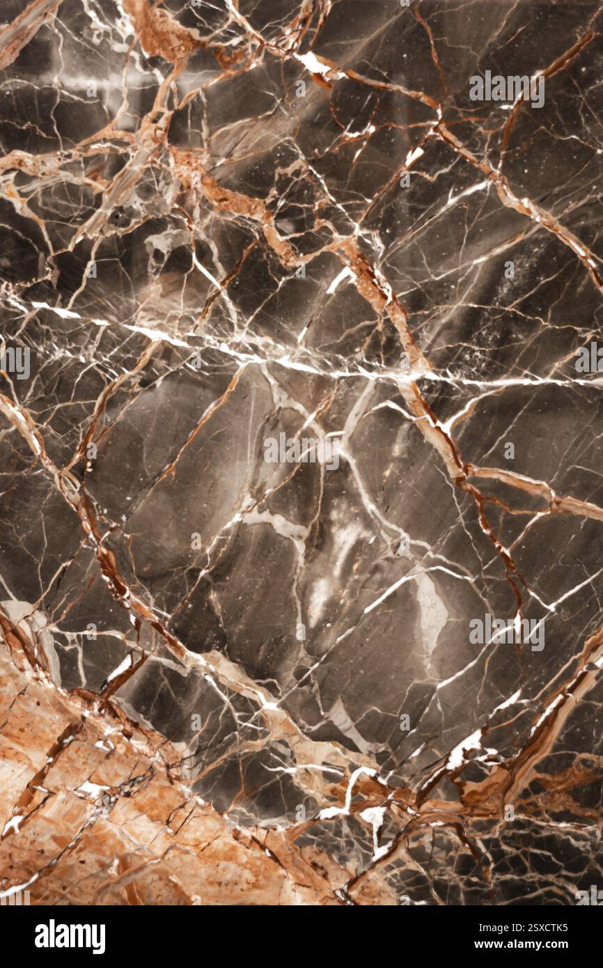 Dark marble with prominent brown veins and intricate textured patterns ...