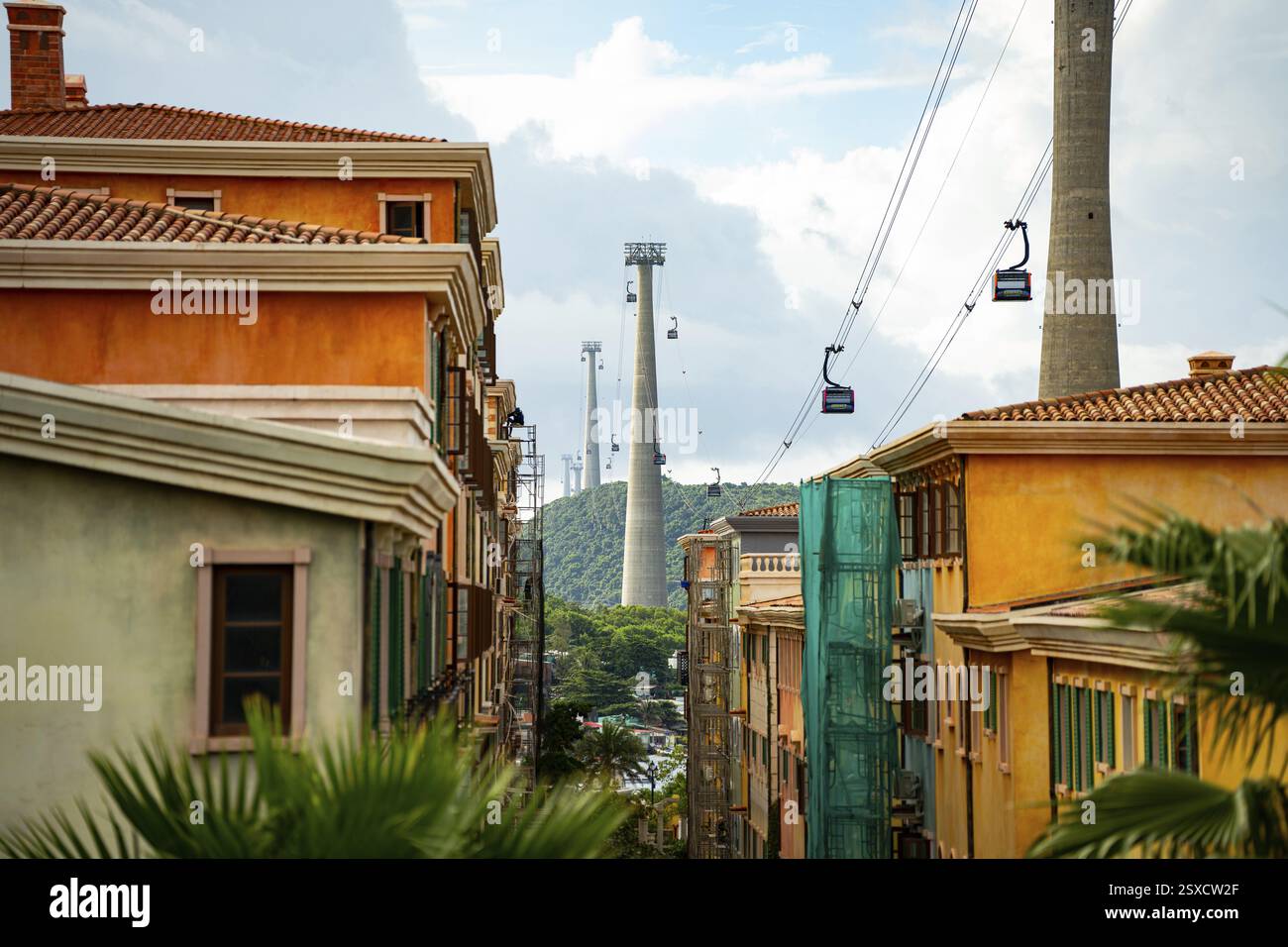 Buildings aligned with a cable car system, palm trees, and distant ...
