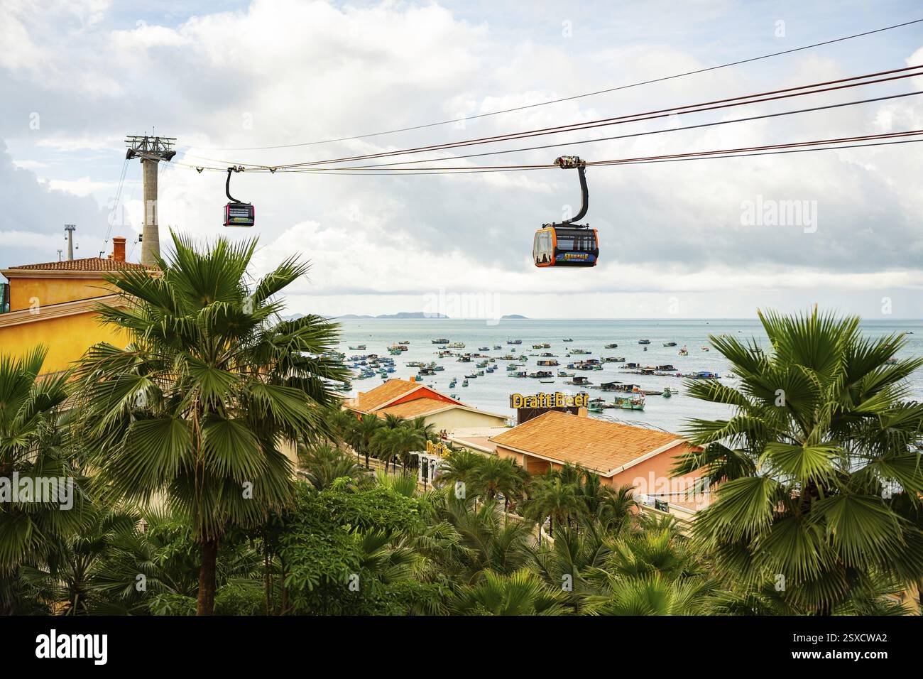 Cable cars over a tropical landscape with palm trees and vibrant ...