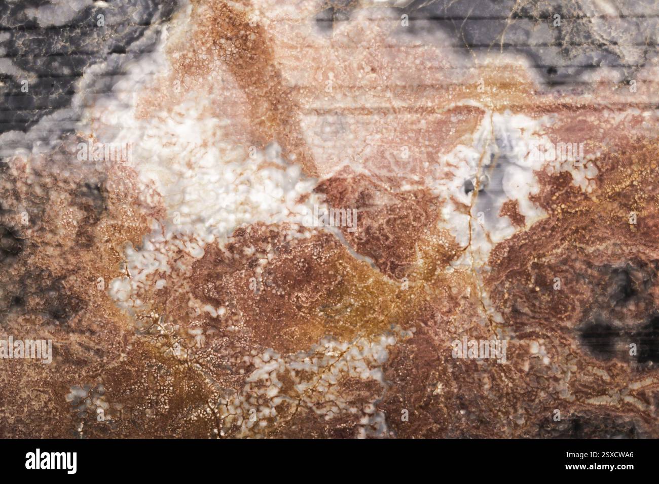 Layered marble with rich brown and white textures creating an abstract ...
