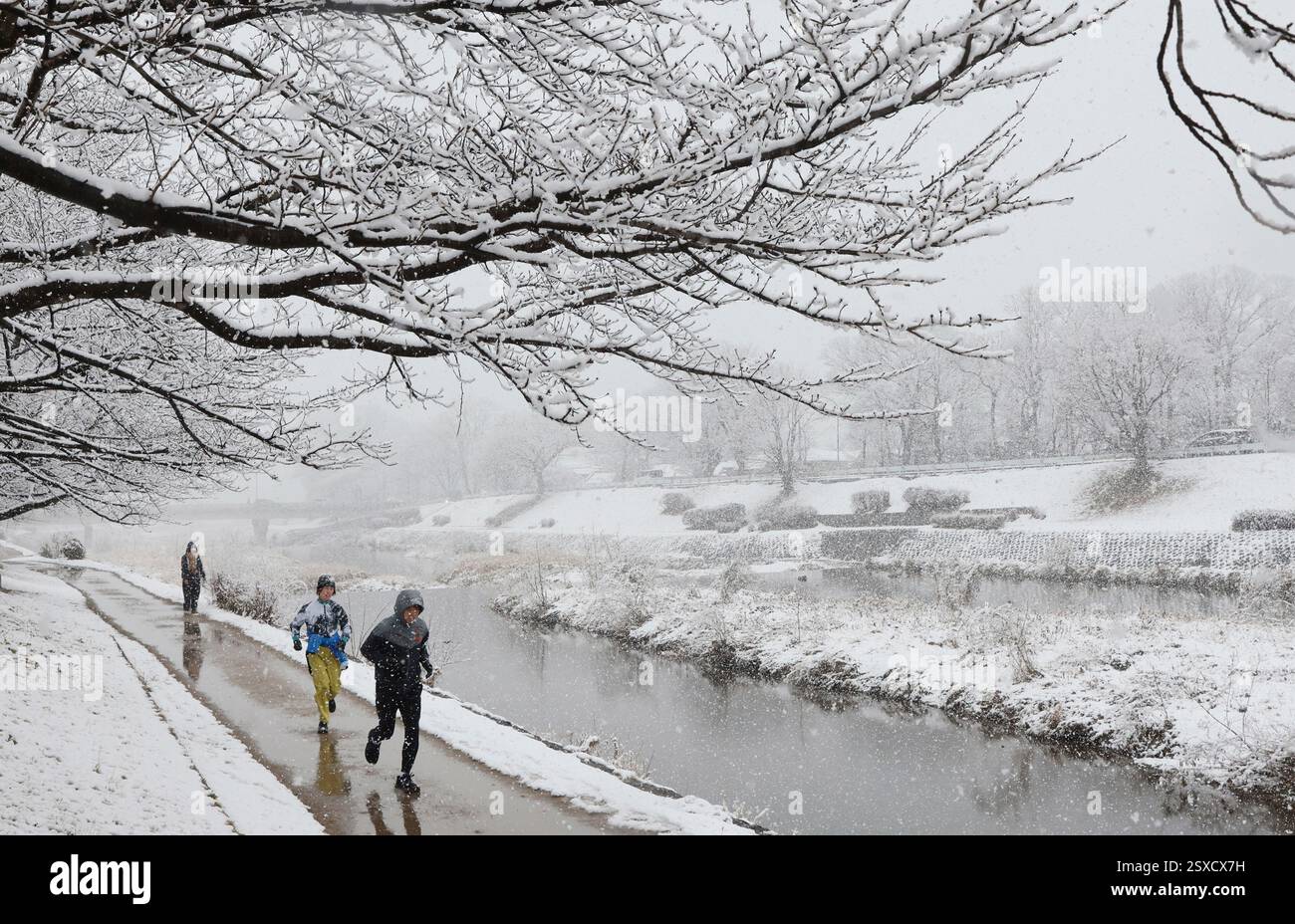 Snow falls in Kyoto City, Kyoto Prefecture on February 24, 2025. Due to ...