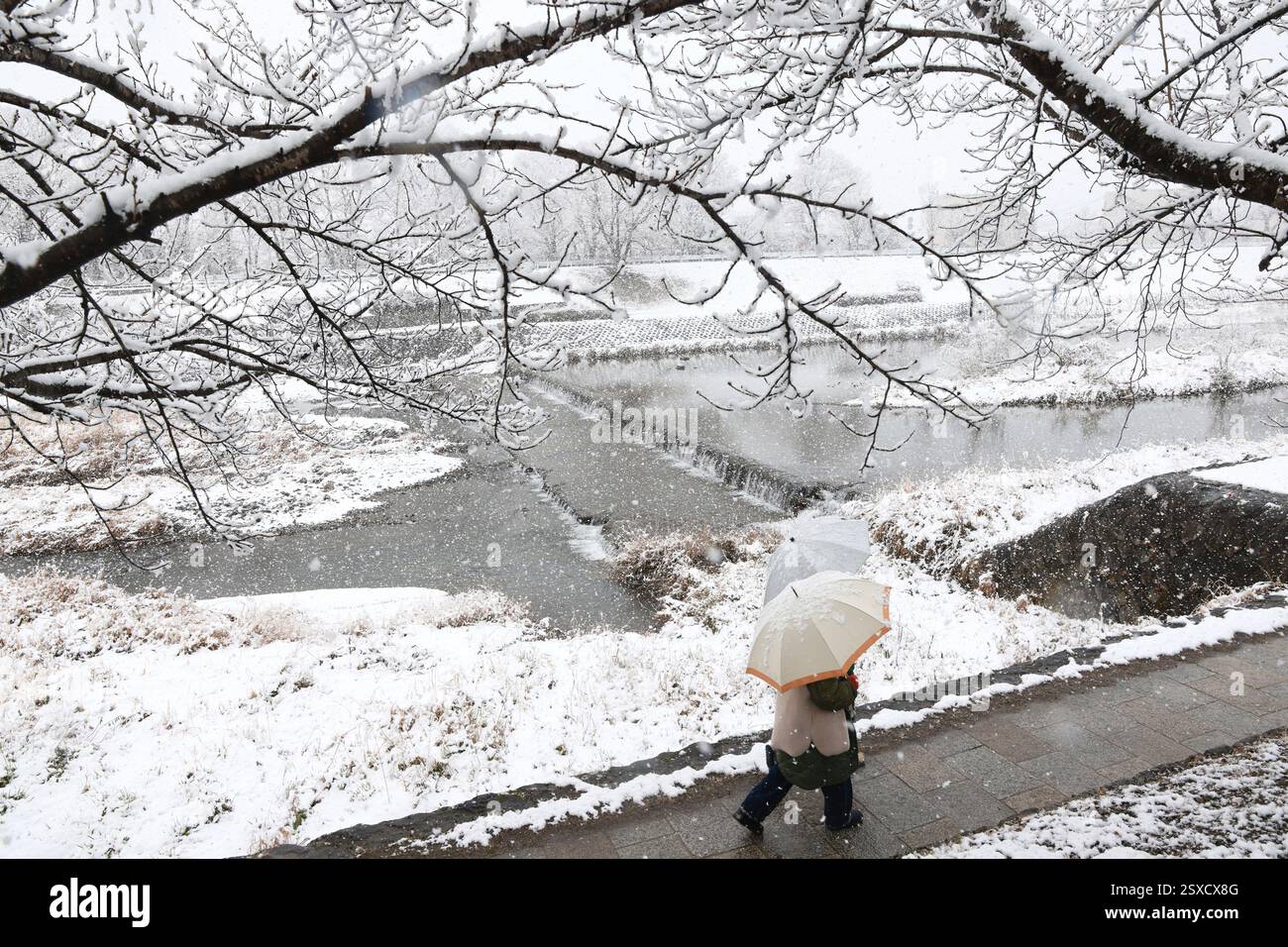 Snow falls in Kyoto City, Kyoto Prefecture on February 24, 2025. Due to ...