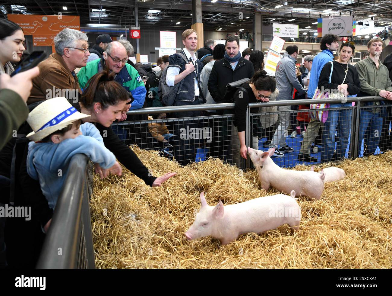 Paris, France.22th February 2025. People interact with piglets during ...