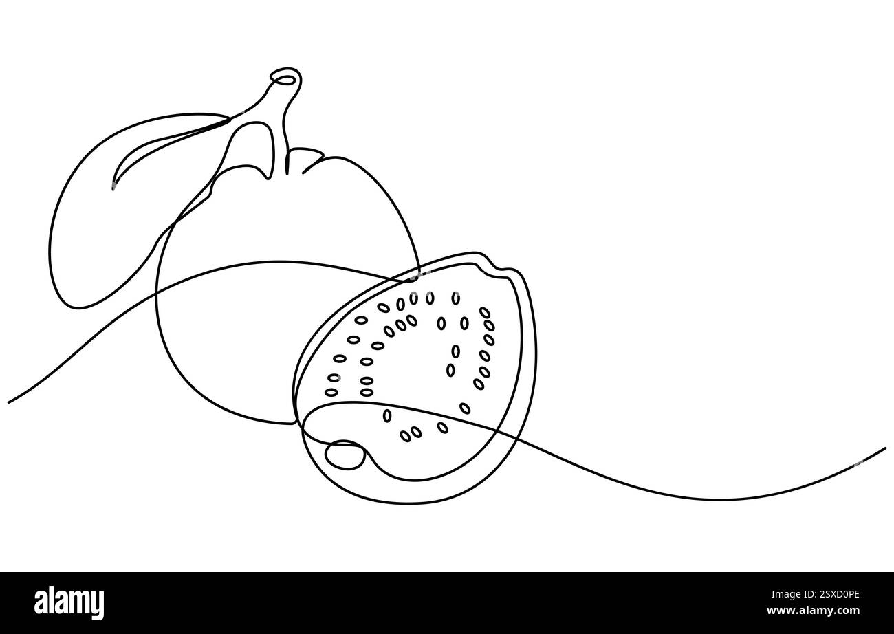 Single continuous line drawing whole and half sliced healthy organic ...