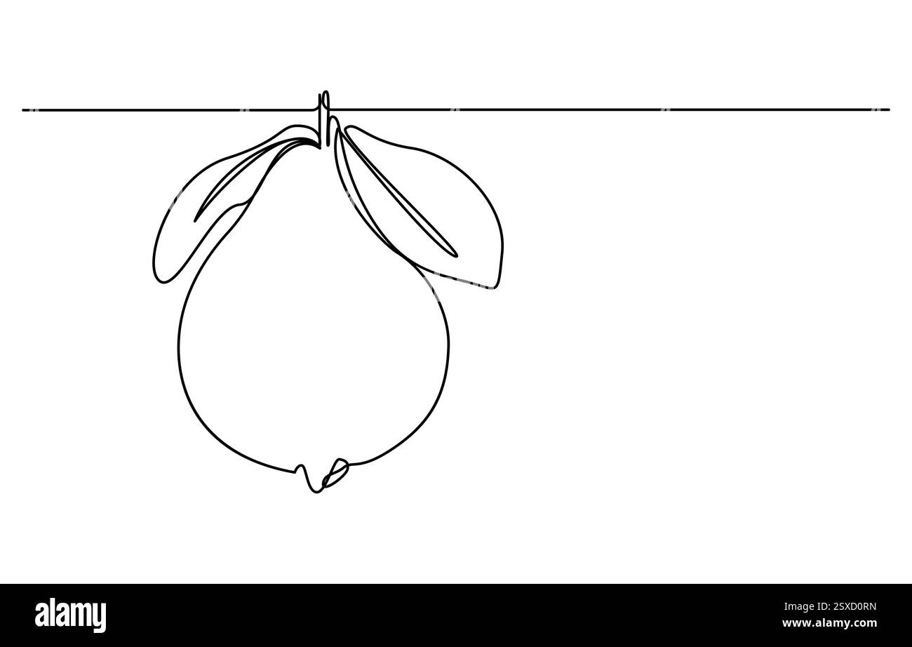 Single continuous line drawing whole and half sliced healthy organic java guava for orchard logo ...