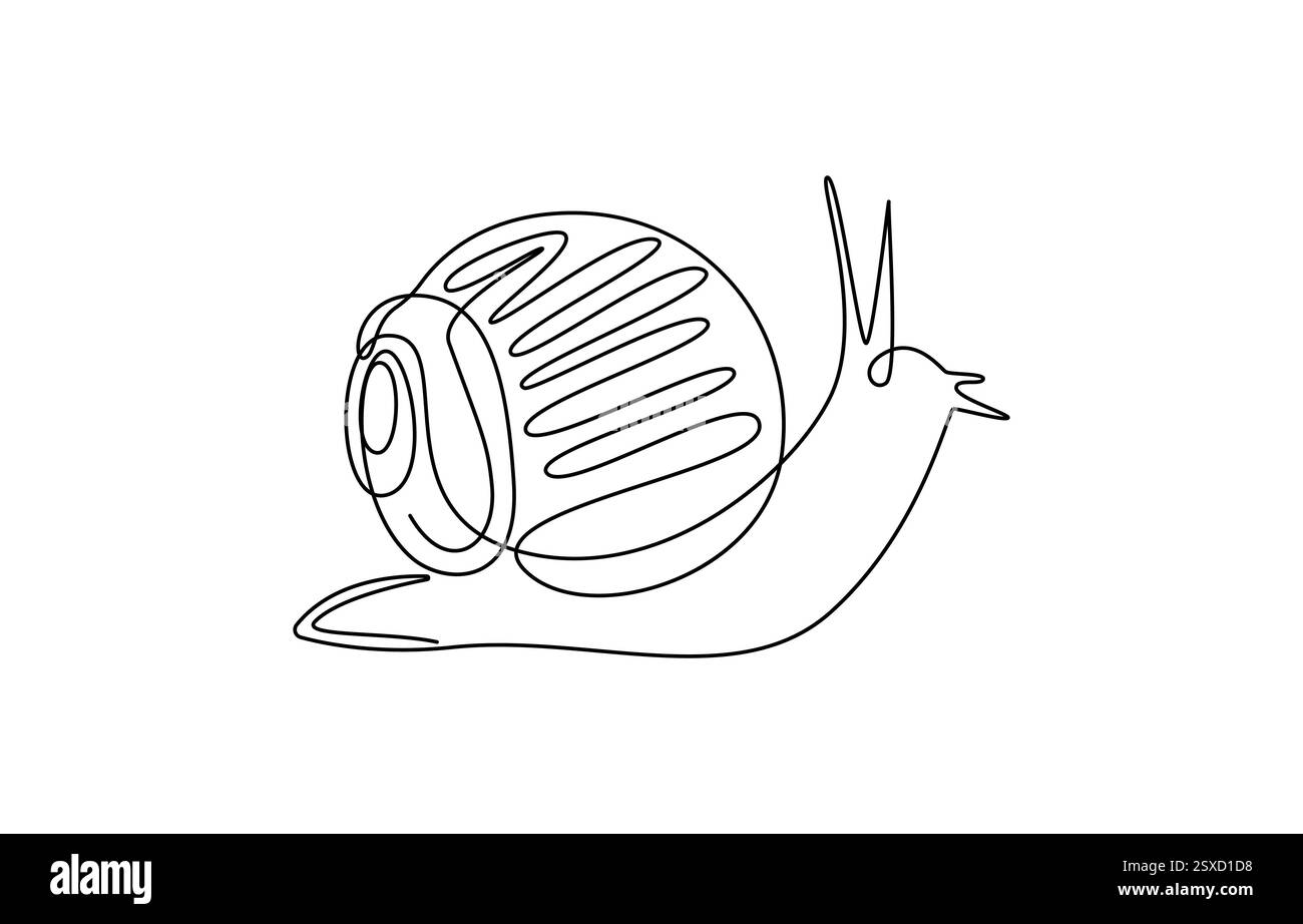 Sand sea shell line Cut Out Stock Images & Pictures - Alamy