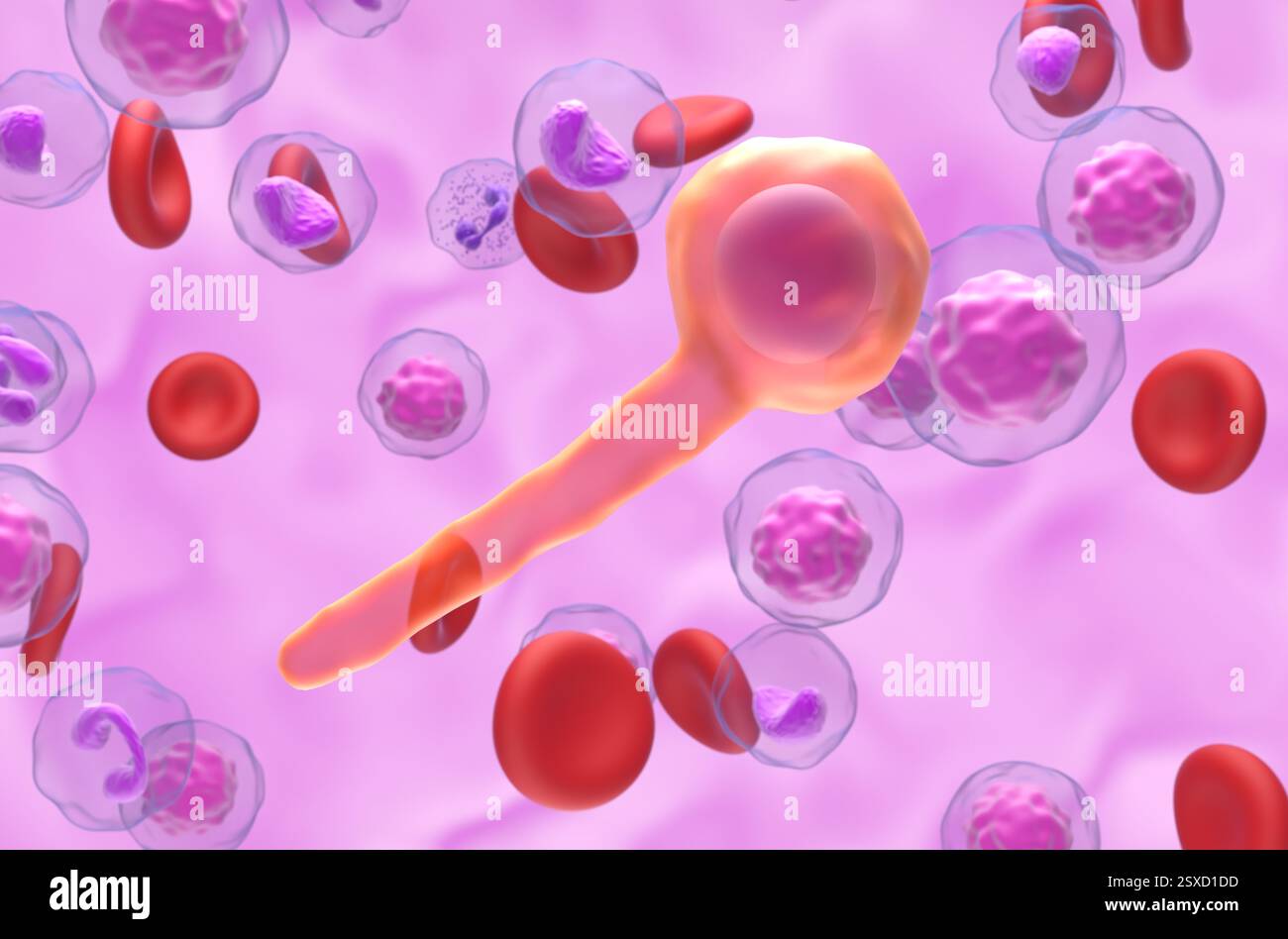 Clostridium Tetani Bacteria (tetanus neurotoxin) - 3d illustration ...