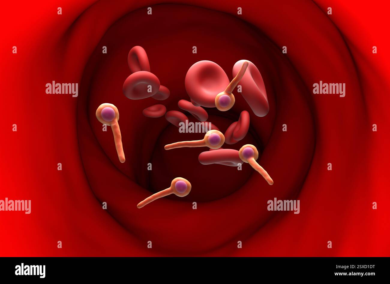 Clostridium Tetani Bacteria (tetanus neurotoxin) - 3d illustration ...