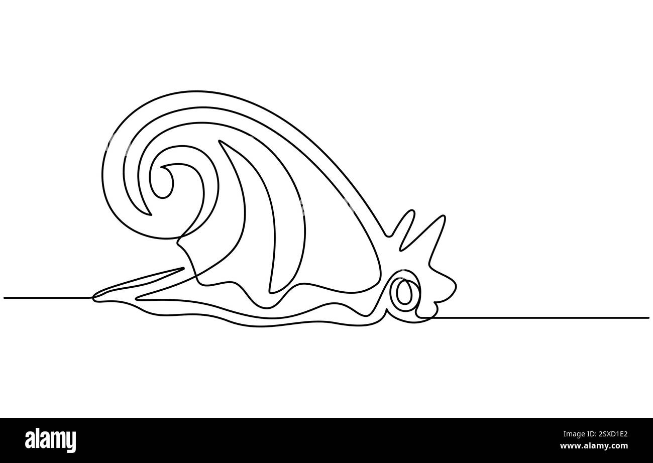 Sea shell line drawing hi-res stock photography and images - Alamy