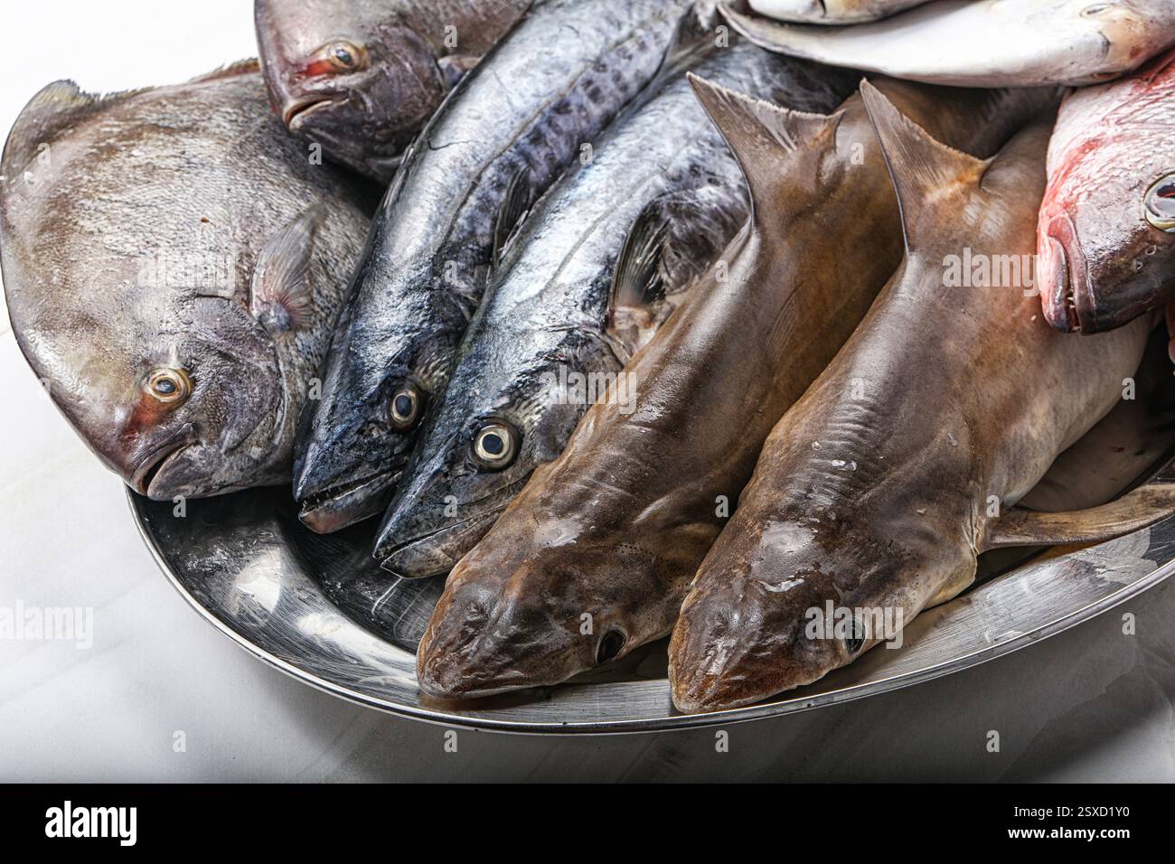 Raw fish mix for cooking shark, kingfish Stock Photo - Alamy