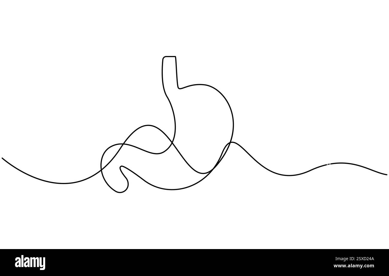 Single continuous line of Stomach. Line art of Stomach human organ ...