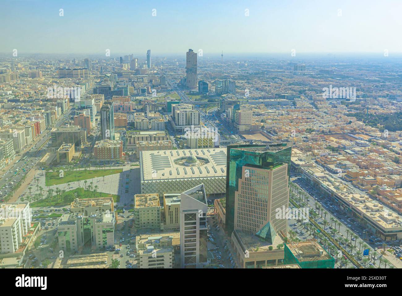 Panoramic view of Riyadh, Saudi Arabia, showcasing the vast urban ...