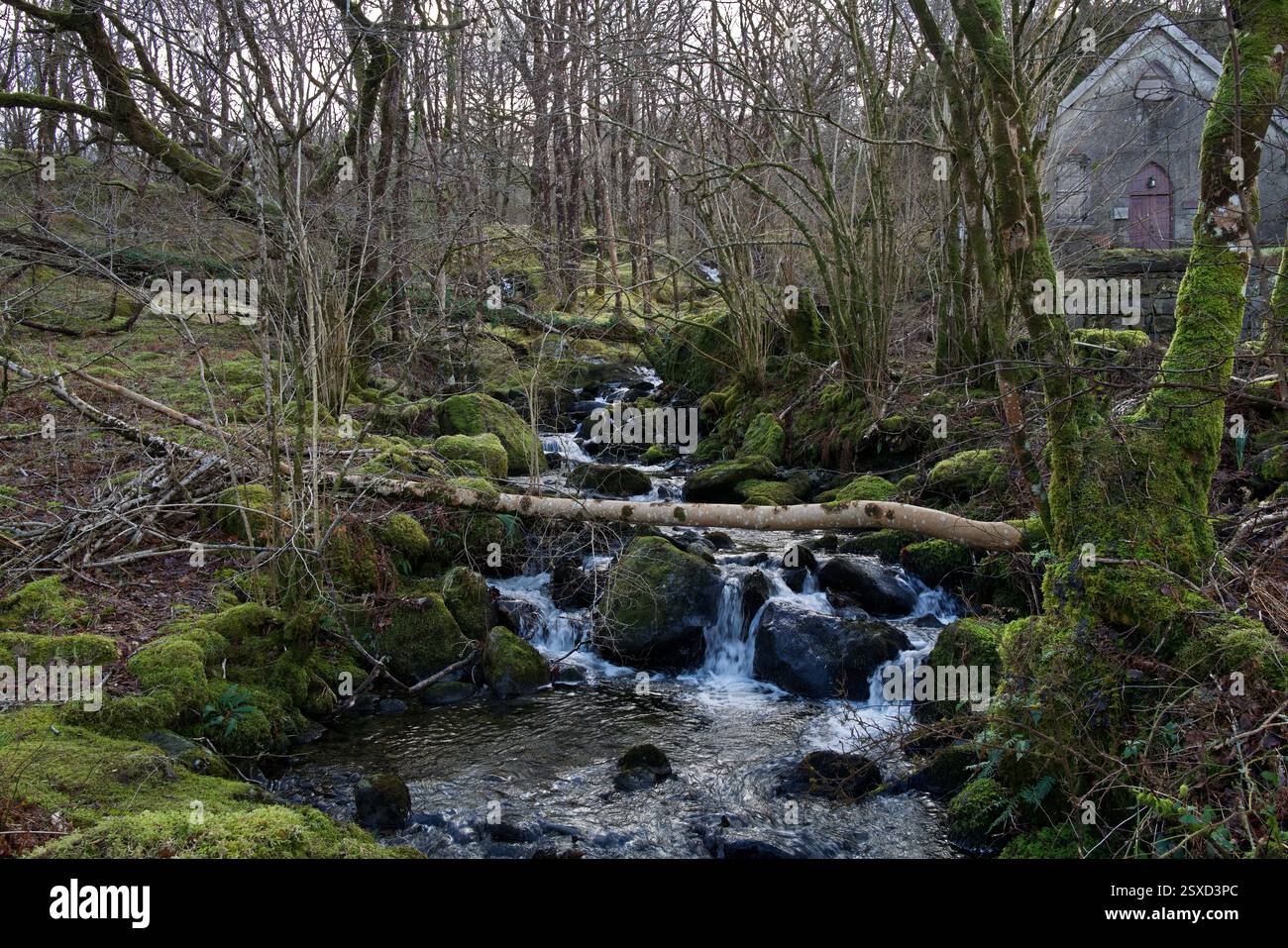 Chapel in the rainforest hi-res stock photography and images - Alamy