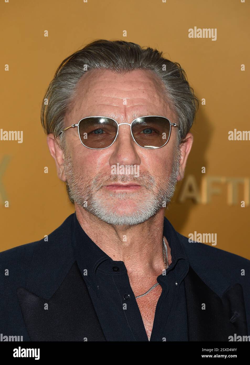 Los Angeles, USA. 23rd Feb, 2025. Daniel Craig arriving to the 31st ...