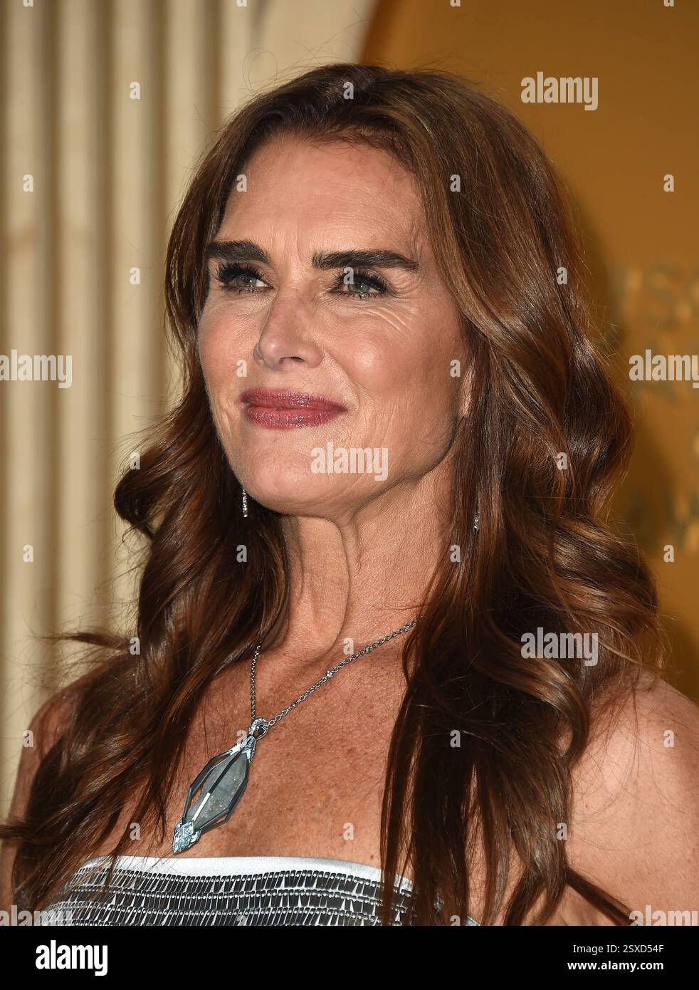Brooke shields 2025 hi-res stock photography and images - Alamy