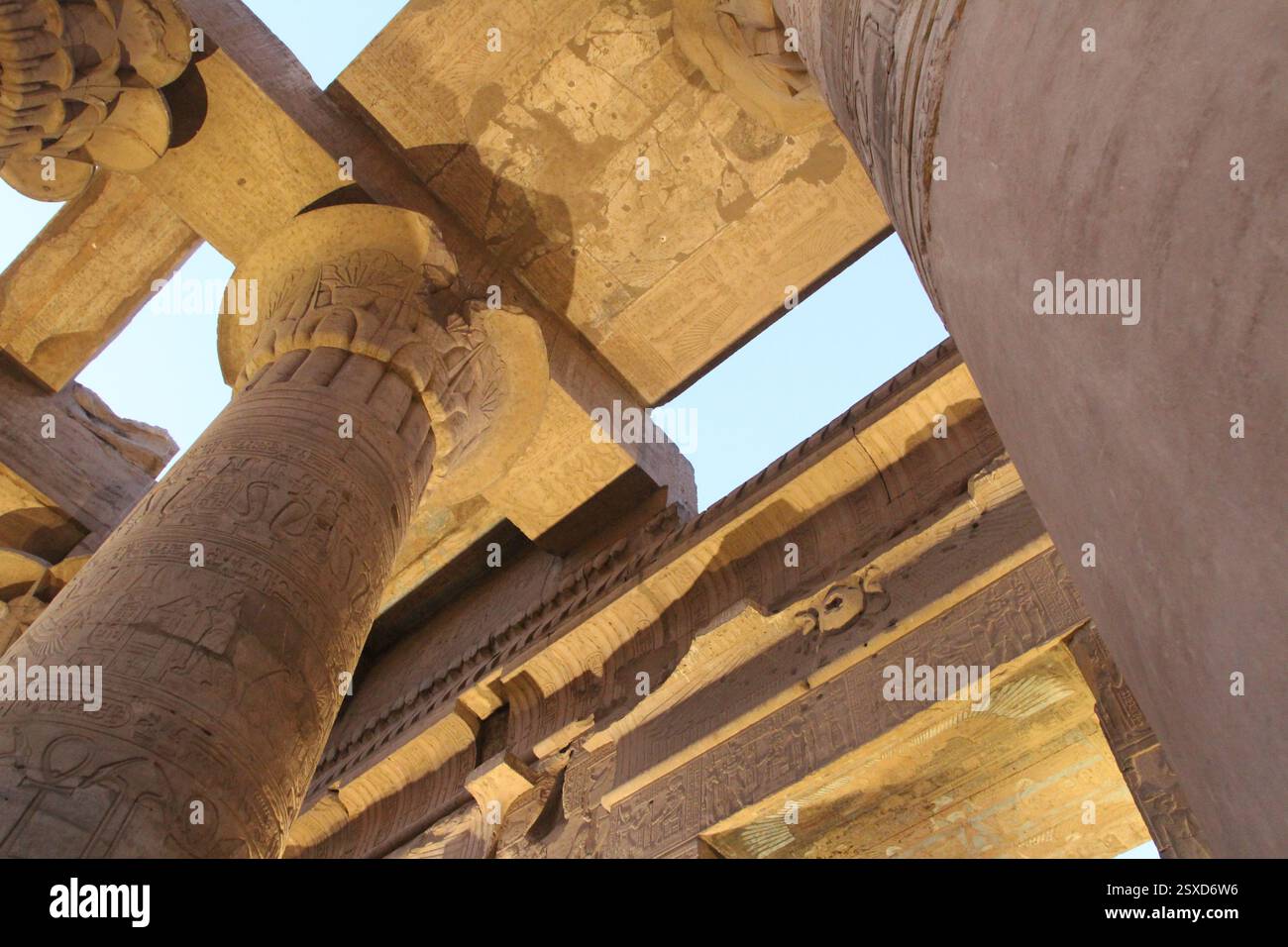 Open bud papyrus column carved with detailed reliefs at the Hypostyle ...