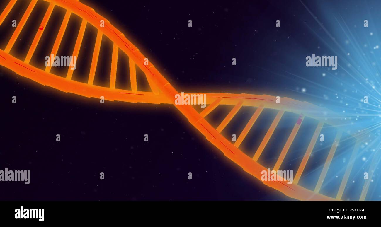 Image of orange dna strand and glowing lights on blue background Stock ...