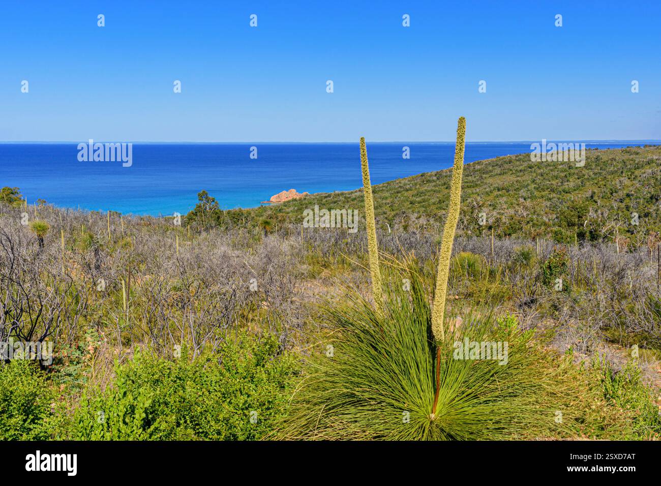 Little meelup beach hi-res stock photography and images - Alamy