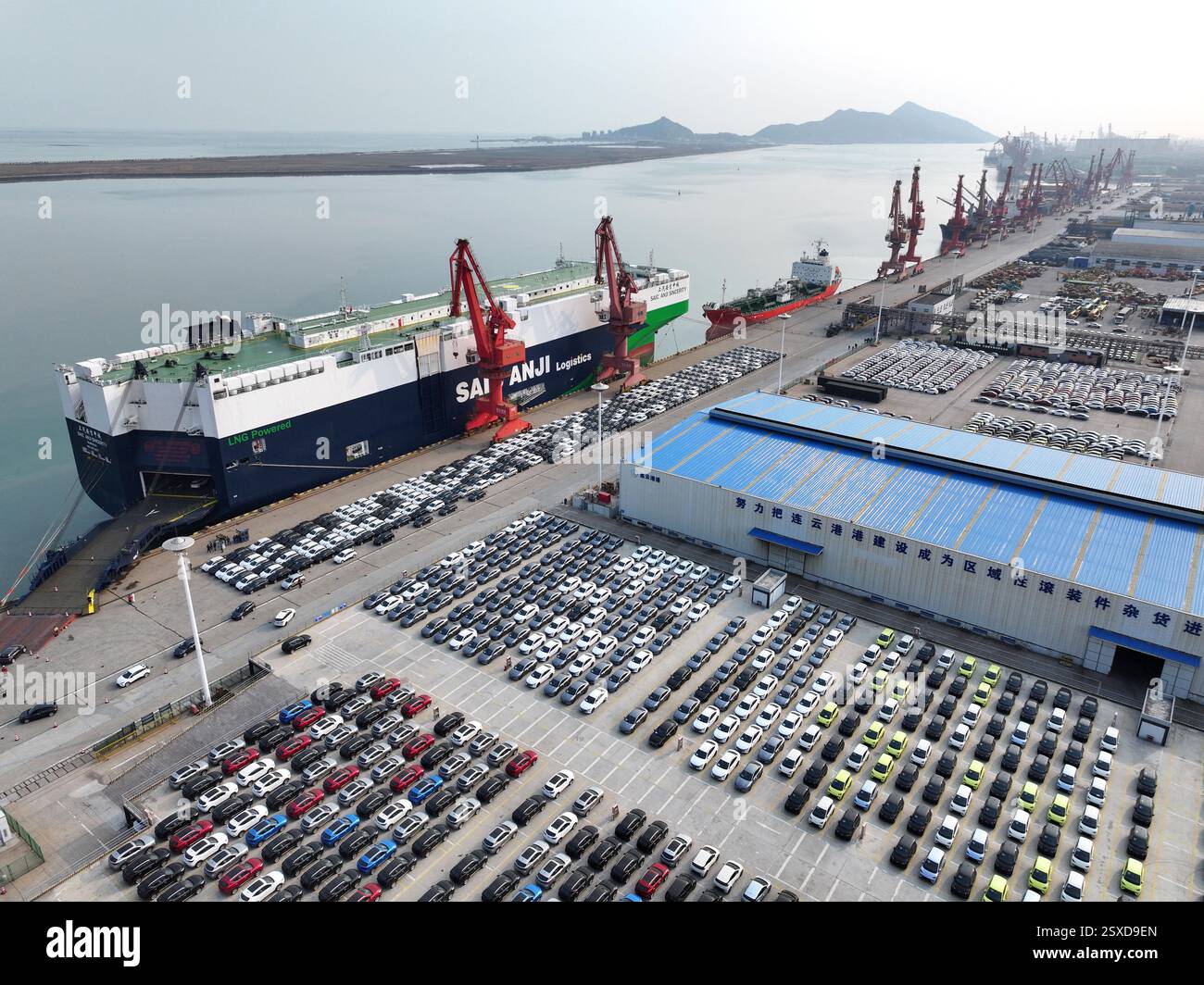 Aerial photo shows export-bound vehicles await loading at Lianyungang ...