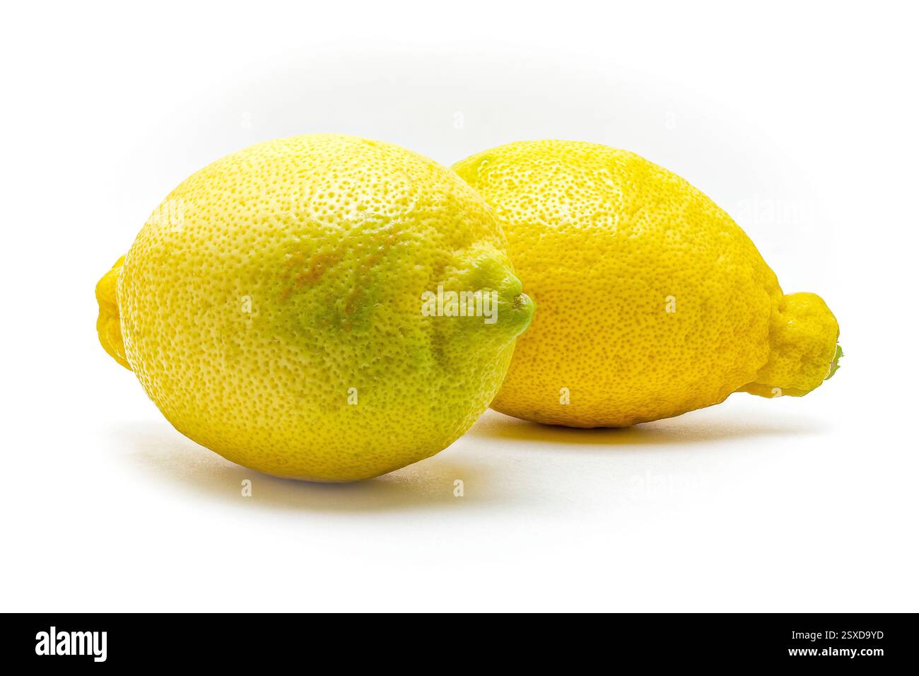 two LemonS isolated on white background Stock Photo - Alamy