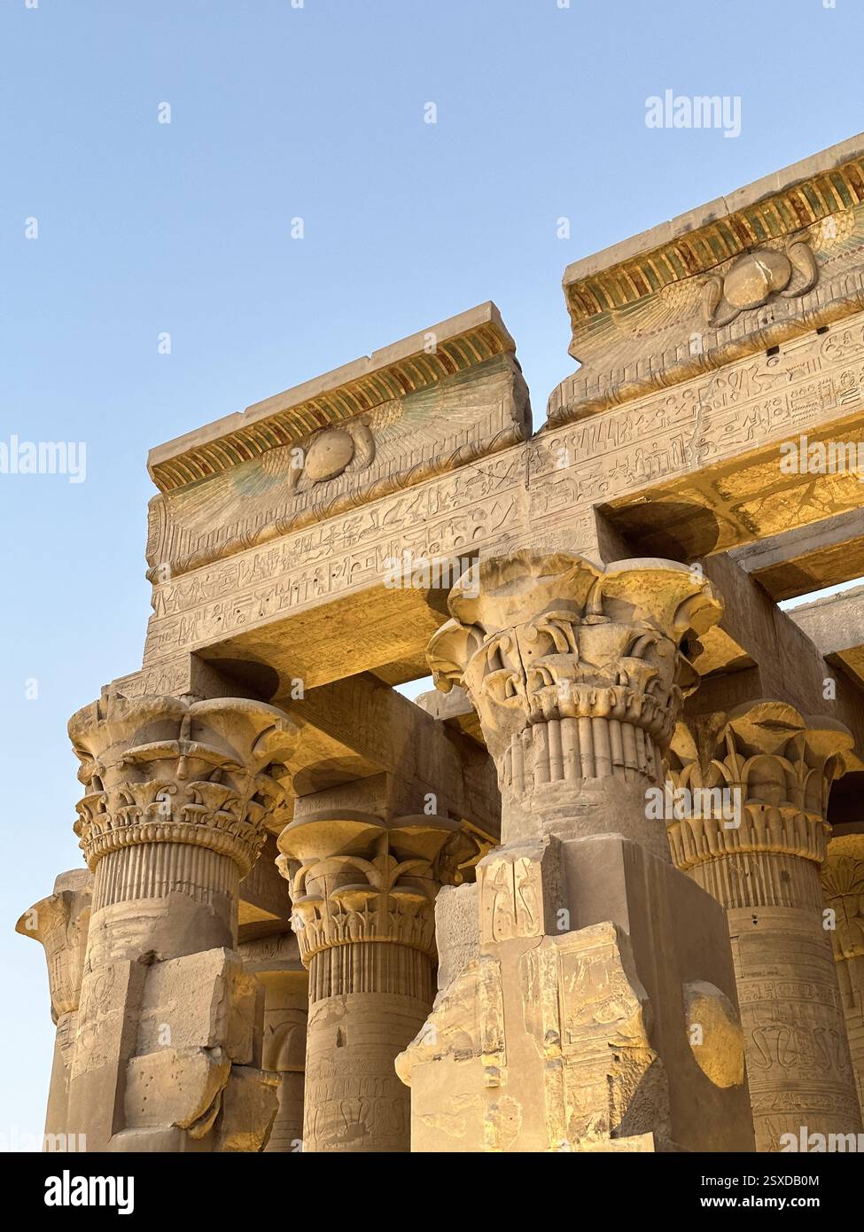 Open bud papyrus column carved with detailed reliefs at the entrance of ...