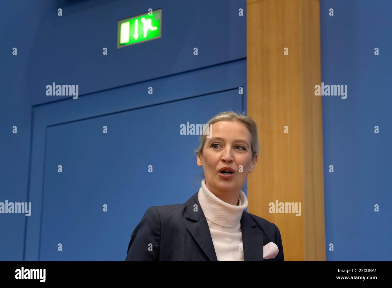 Alice Weidel, co-leader of the Alternative for Germany Party (AfD ...