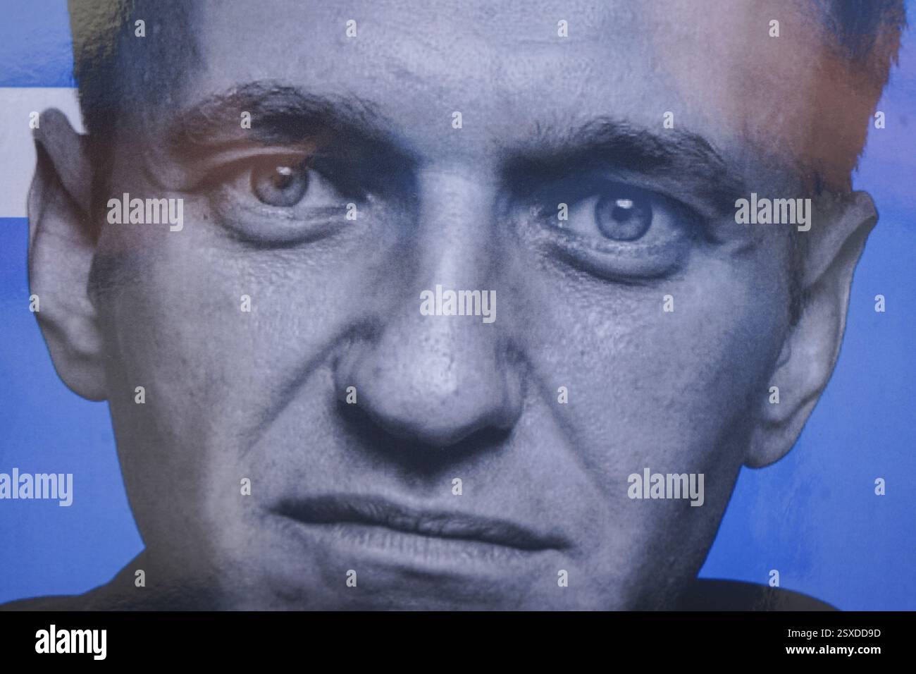 Adelaide, Australia 24 February 2025. A shrine in Adelaide to honour ...